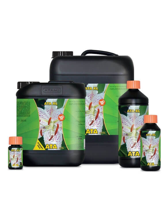 ATA - XL - LA MEJOR OPCIÓN POSIBLE