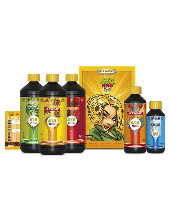 Atami NRG Box - LA MEJOR OPCIÓN