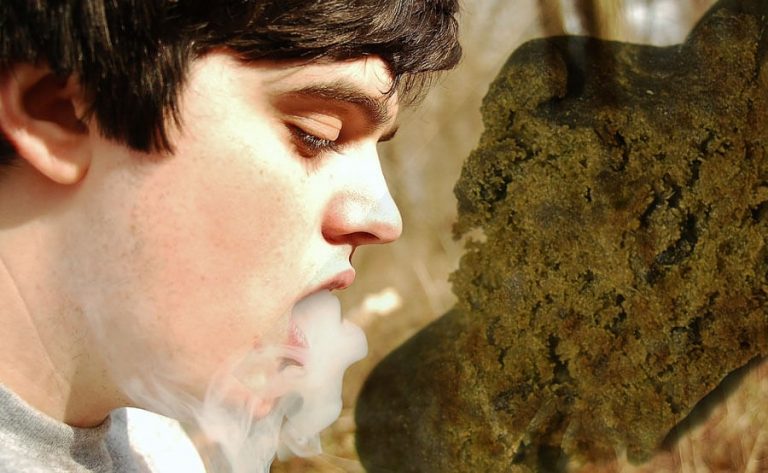 Tipos de Hachís y sus Efectos