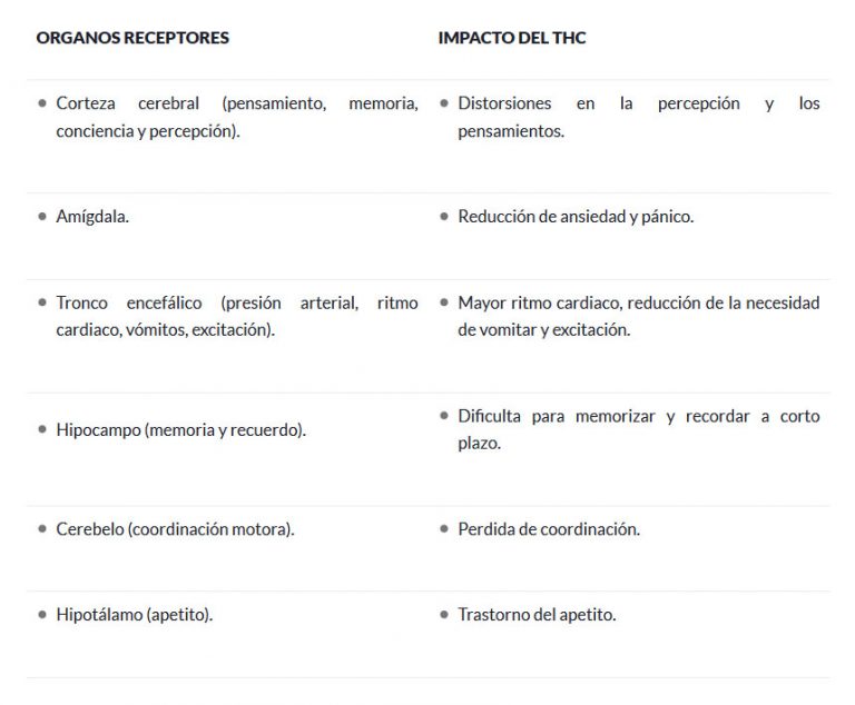 EL THC ¿QUÉ ES TETRAHIDROCANNABINOL?