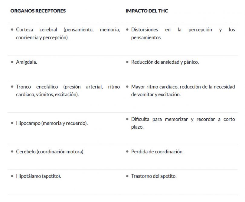 EL THC ¿QUÉ ES TETRAHIDROCANNABINOL?